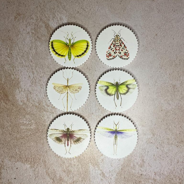 Magnets | Round | Insects – Owl in the moss